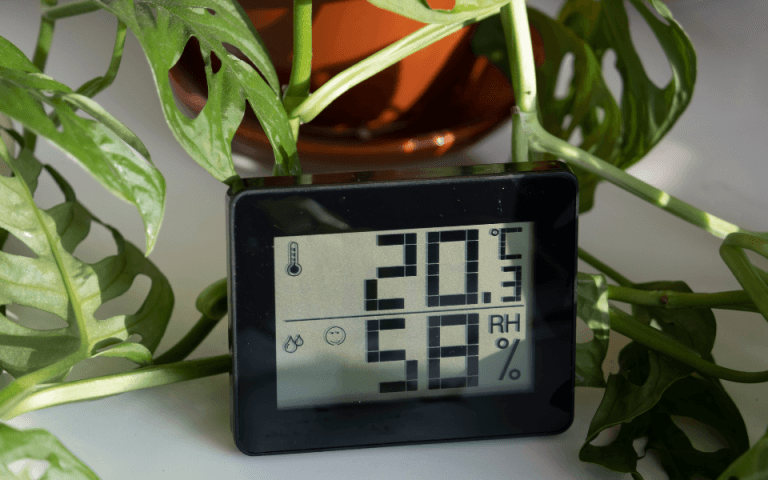 How to Check Indoor Humidity in Your Home