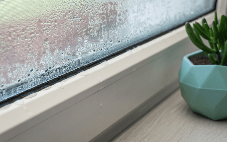How to Check Indoor Humidity in Your Home